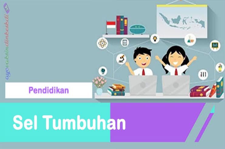 Sel Tumbuhan Dan Sel Hewan – Pengertian, Struktur Dll (Lengkap)